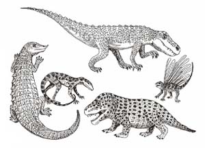 Early Triassic Period Animals